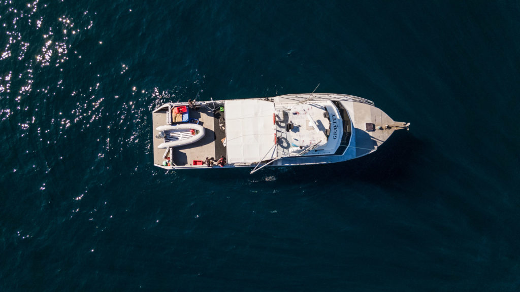 About - Gravity Fishing