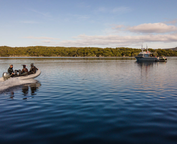 Gallery - Gravity Fishing