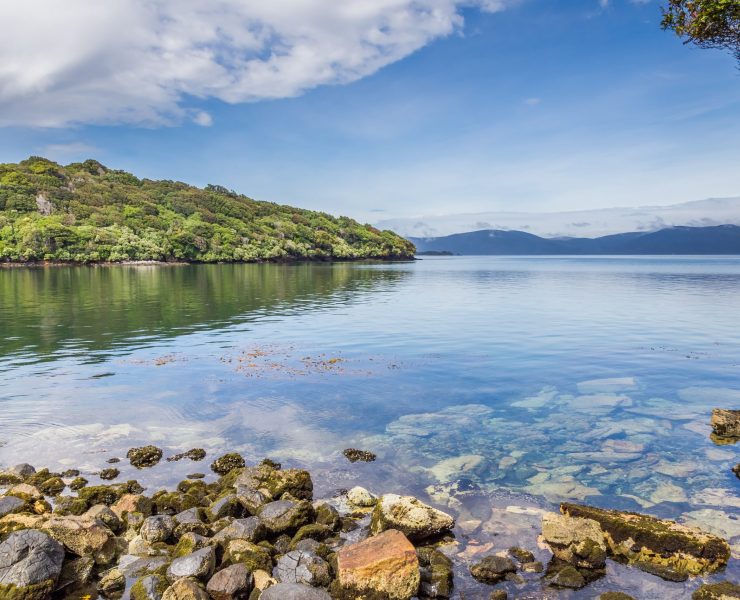 Gallery - Gravity Fishing